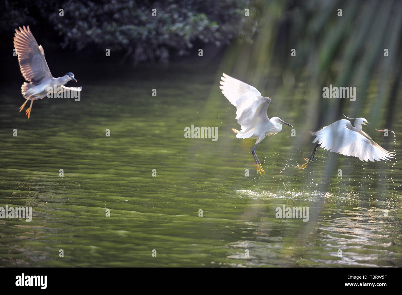 Grab dance hi-res stock photography and images - Alamy
