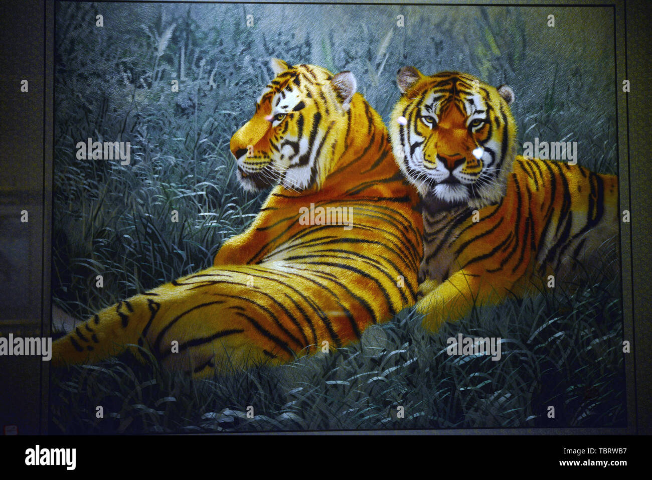 Shu embroidery - tiger Stock Photo - Alamy