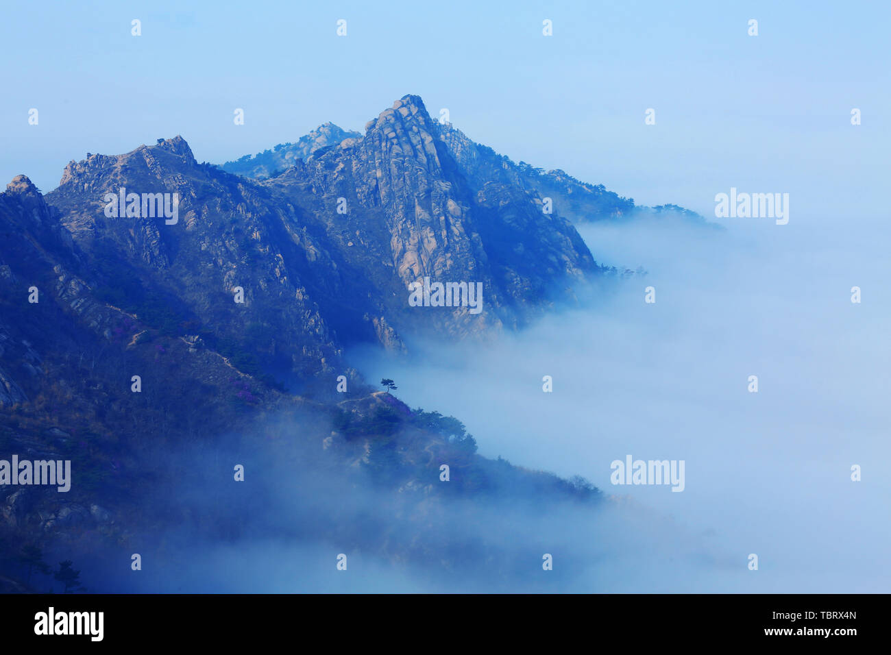 A batch of pictures of Fushan clouds and fog scenery Stock Photo - Alamy