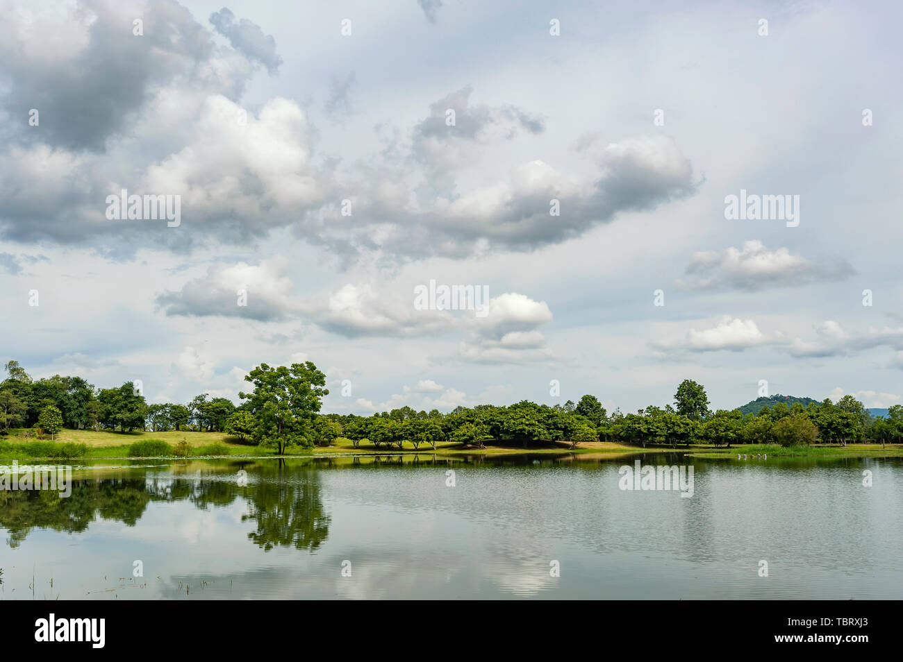 Leisure definition hi-res stock photography and images - Alamy