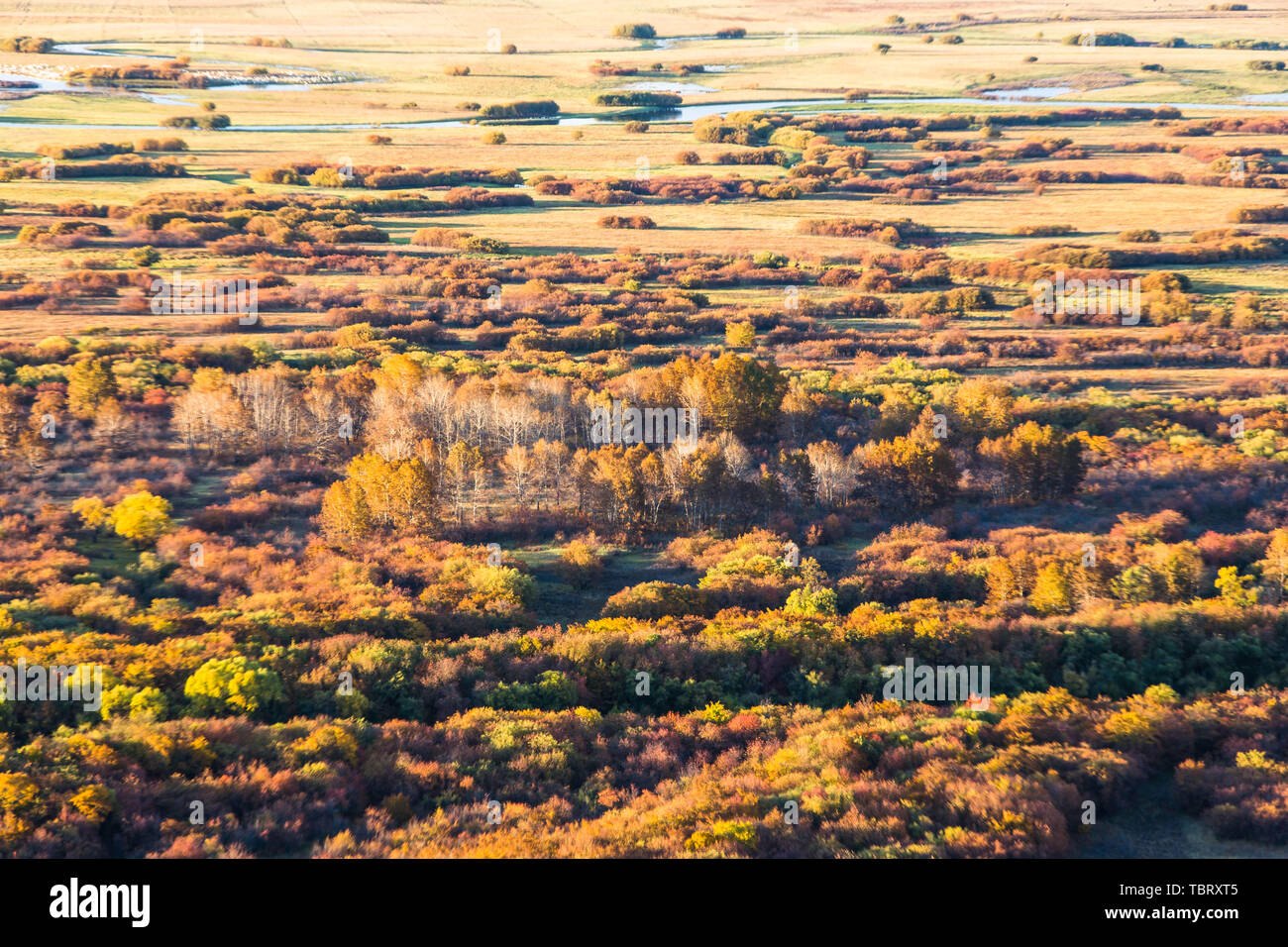 Erguna Wetland is known as the largest wetland in Asia, a golden and ...