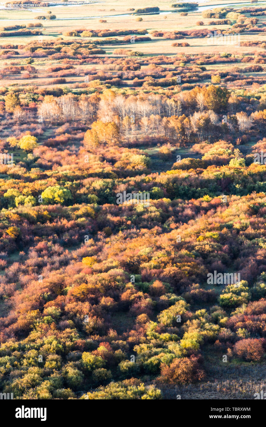 Erguna Wetland is known as the largest wetland in Asia, a golden and ...