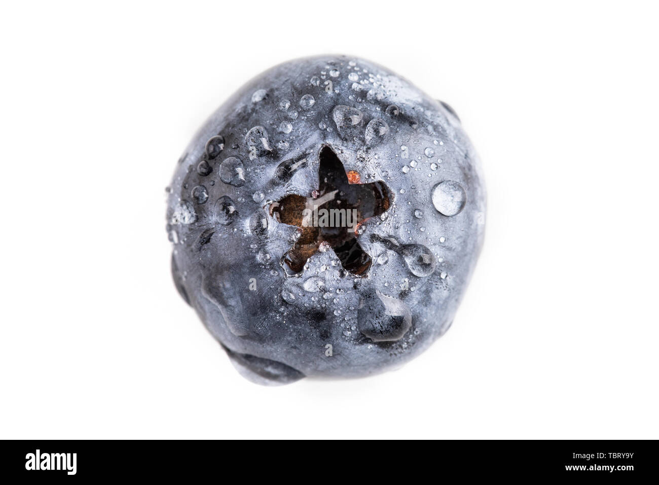 Blueberry creative photography Stock Photo - Alamy