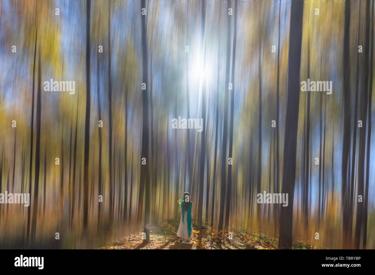 Border ditch hi-res stock photography and images - Alamy