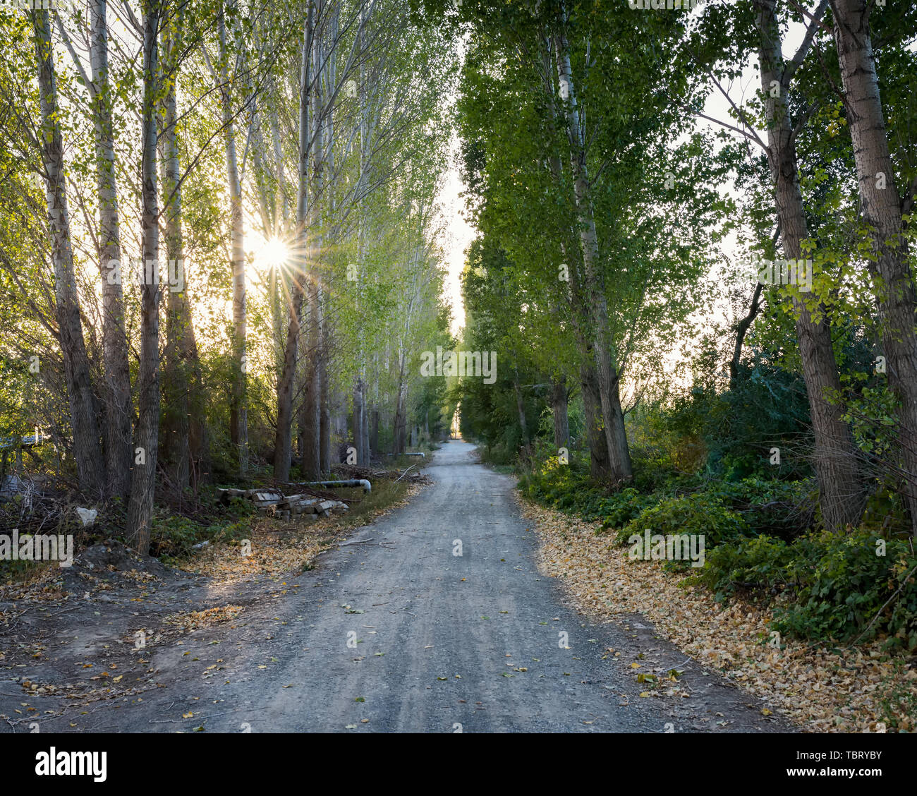 Township road scenery Stock Photo - Alamy