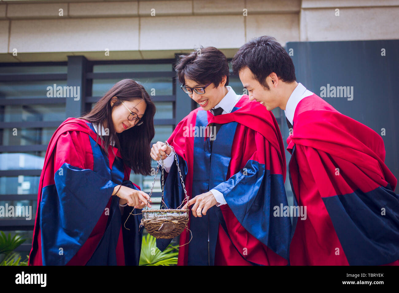 University of macau hi-res stock photography and images - Alamy