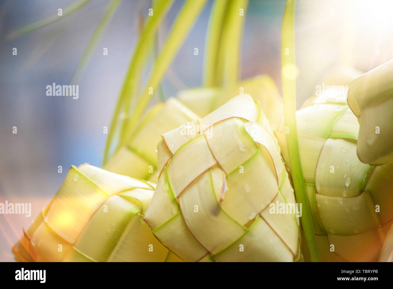 Ketupat "asian rice dumpling". Ketupat is a natural rice casing made ...