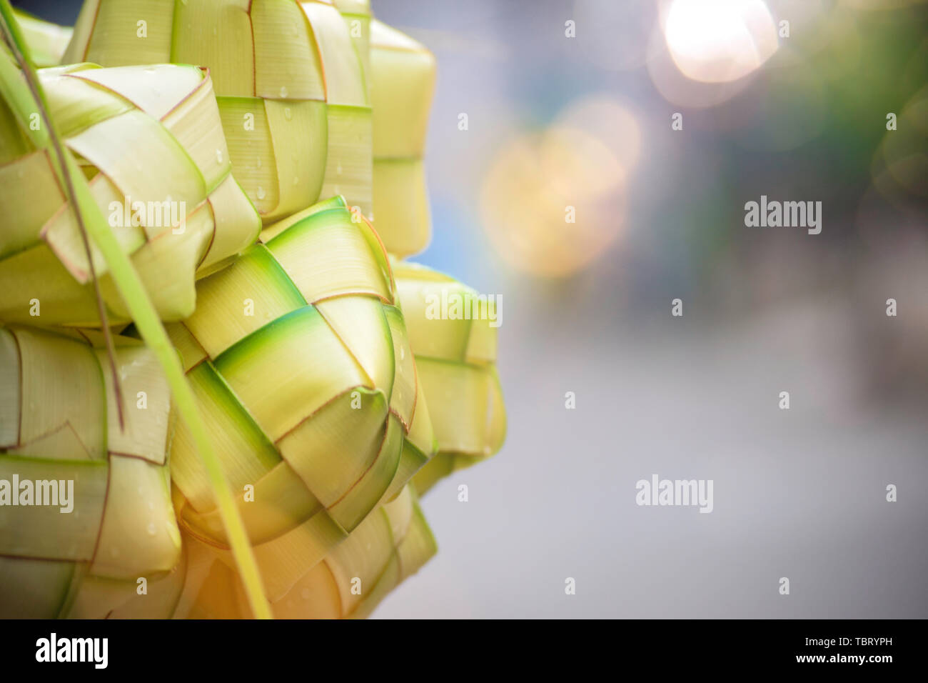 Ketupat "asian rice dumpling". Ketupat is a natural rice casing made ...