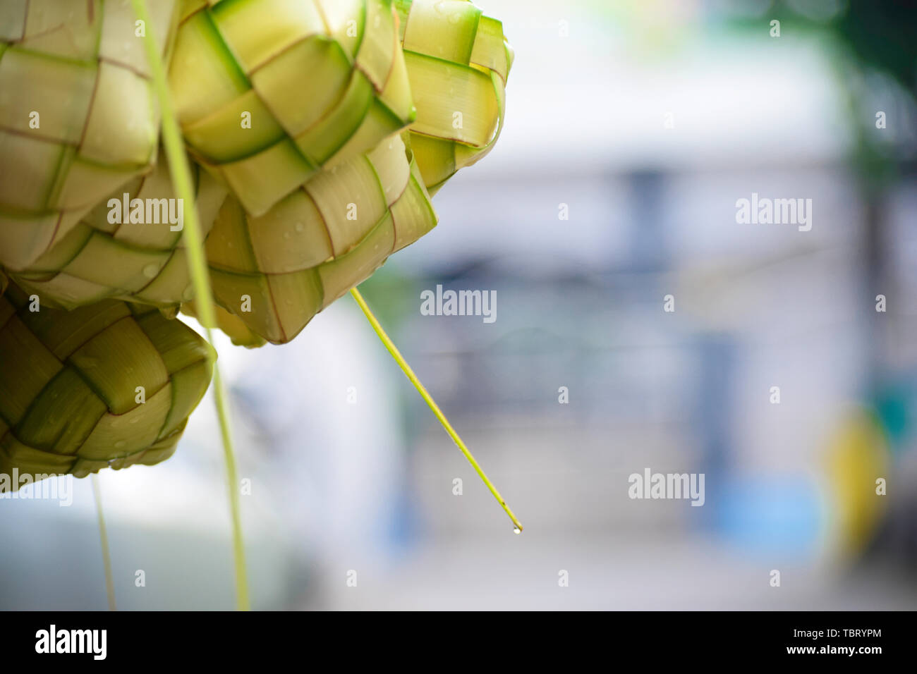 Ketupat "asian rice dumpling". Ketupat is a natural rice casing made ...