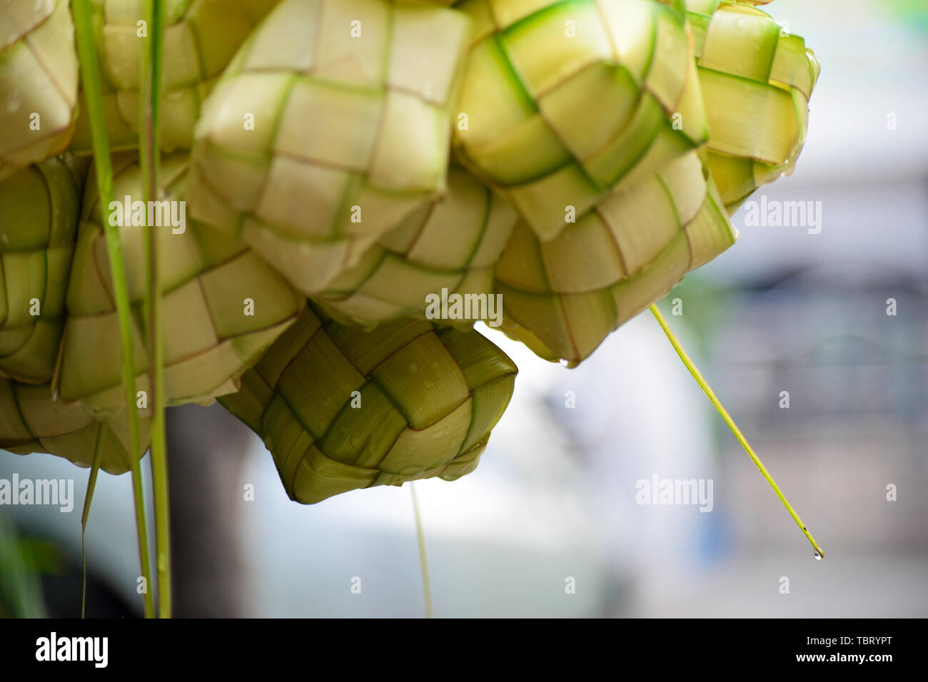 Ketupat "asian rice dumpling". Ketupat is a natural rice casing made ...