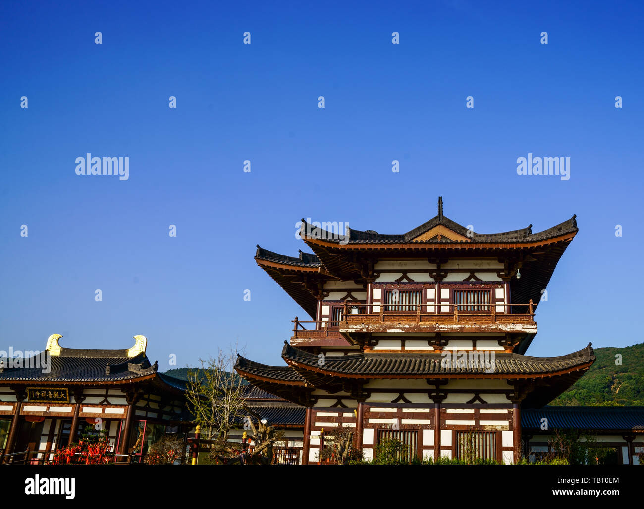 Sun light ancient trees and roofs hi-res stock photography and images ...