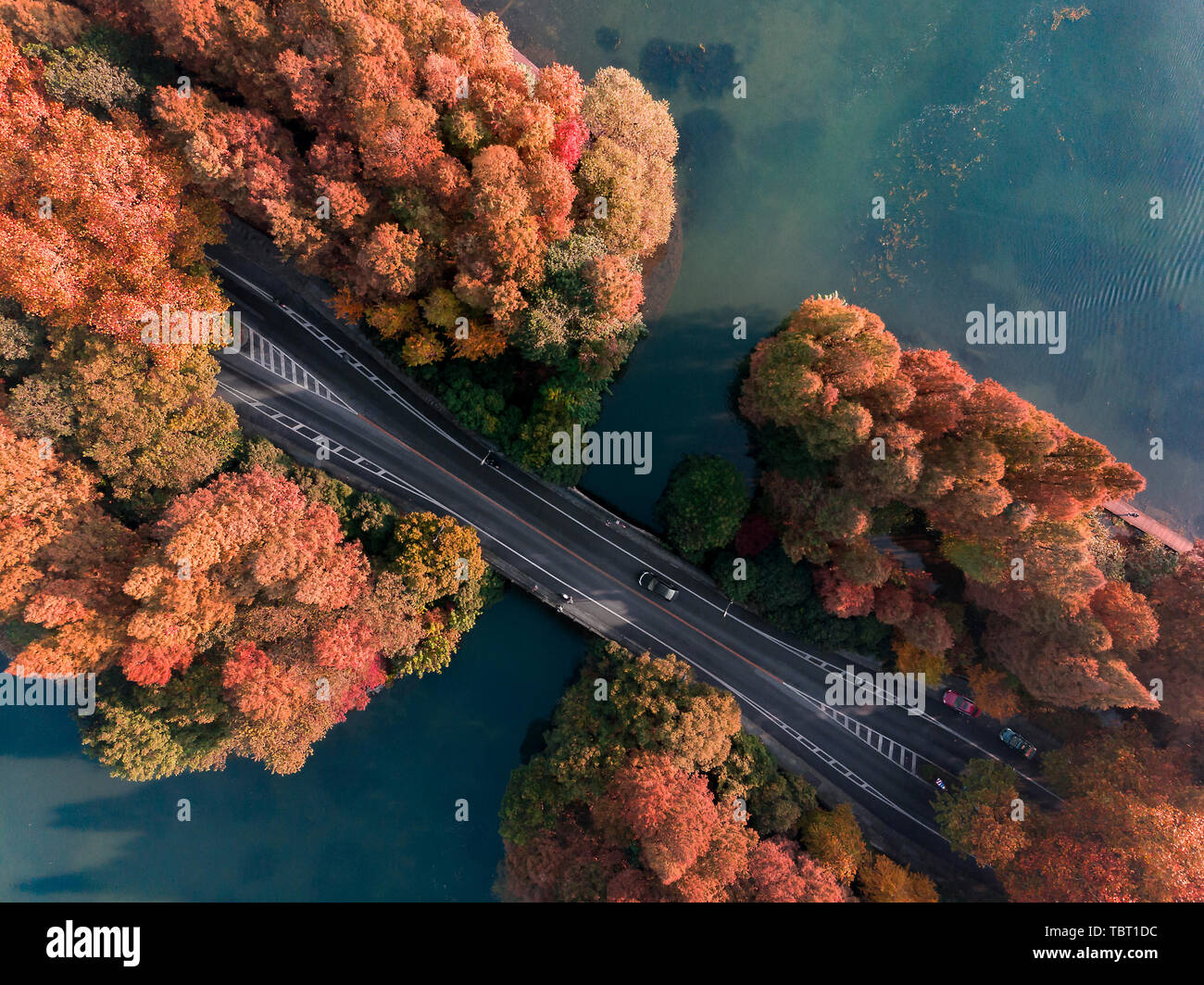 Aerial shot of Yang Gongdi, West Lake, Hangzhou Stock Photo - Alamy
