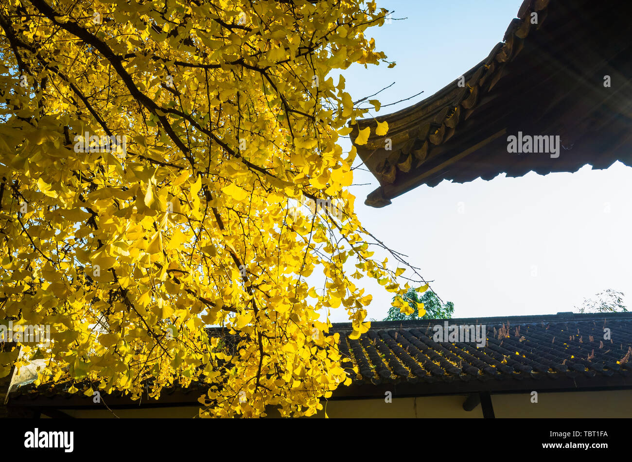 Eight monsters memorial hall hi-res stock photography and images - Alamy