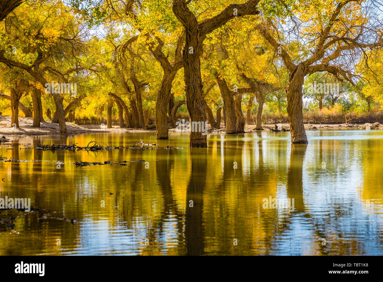 Reflection of the surface of the blue sky in the Alashan Desert Stock ...