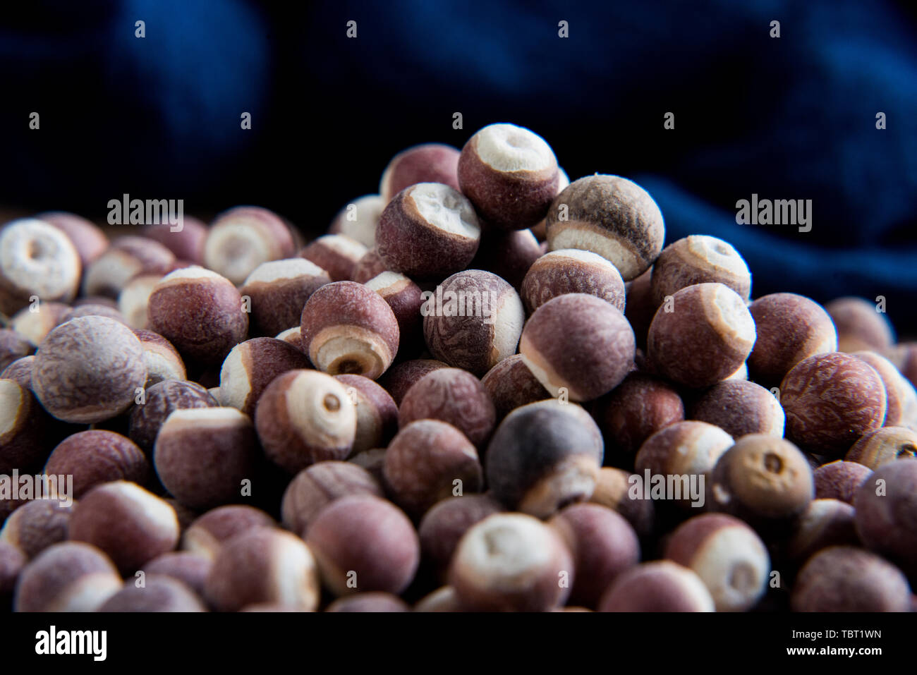 A delicious ingredient, Gorgon, also known as Zhaoshi and chicken head ...