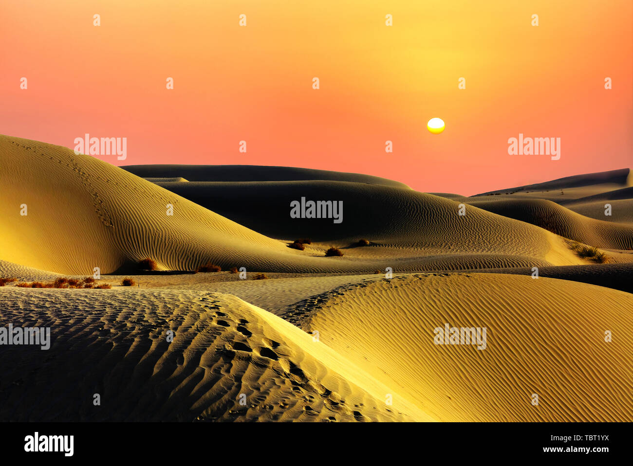 My brilliant life hi-res stock photography and images - Alamy