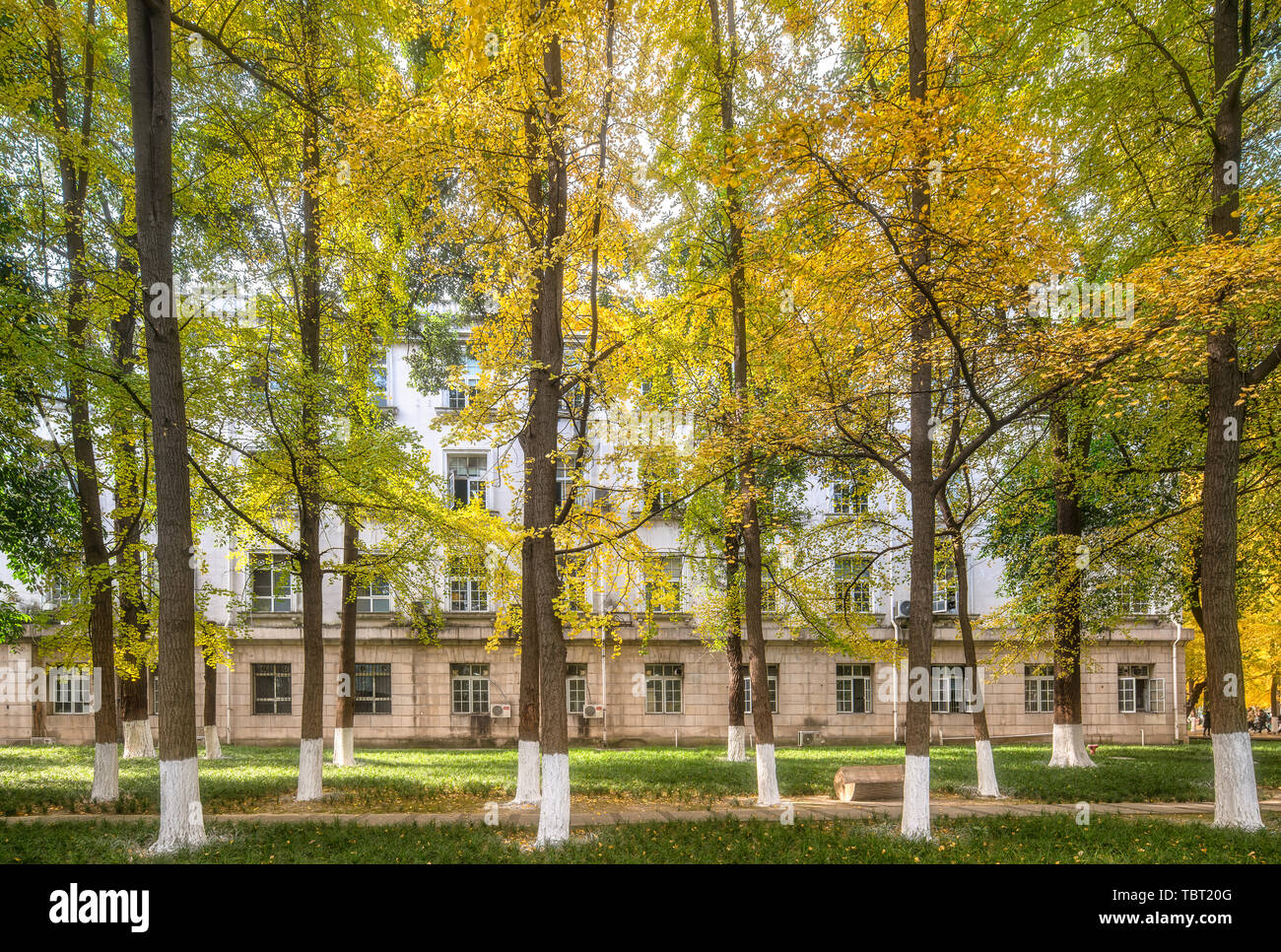 Electronic campus hi-res stock photography and images - Alamy