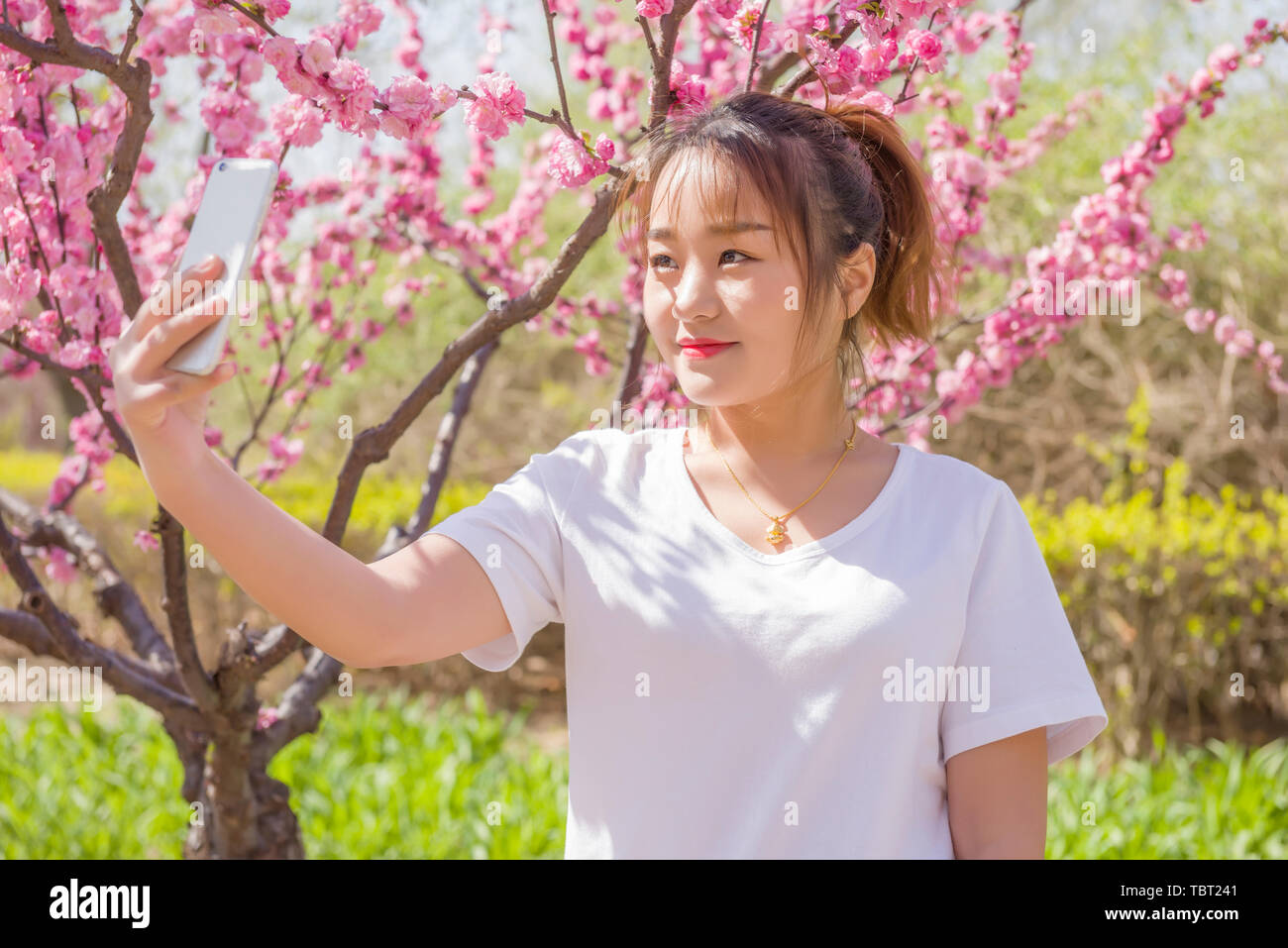 Girl taking selfies in spring park Stock Photo - Alamy