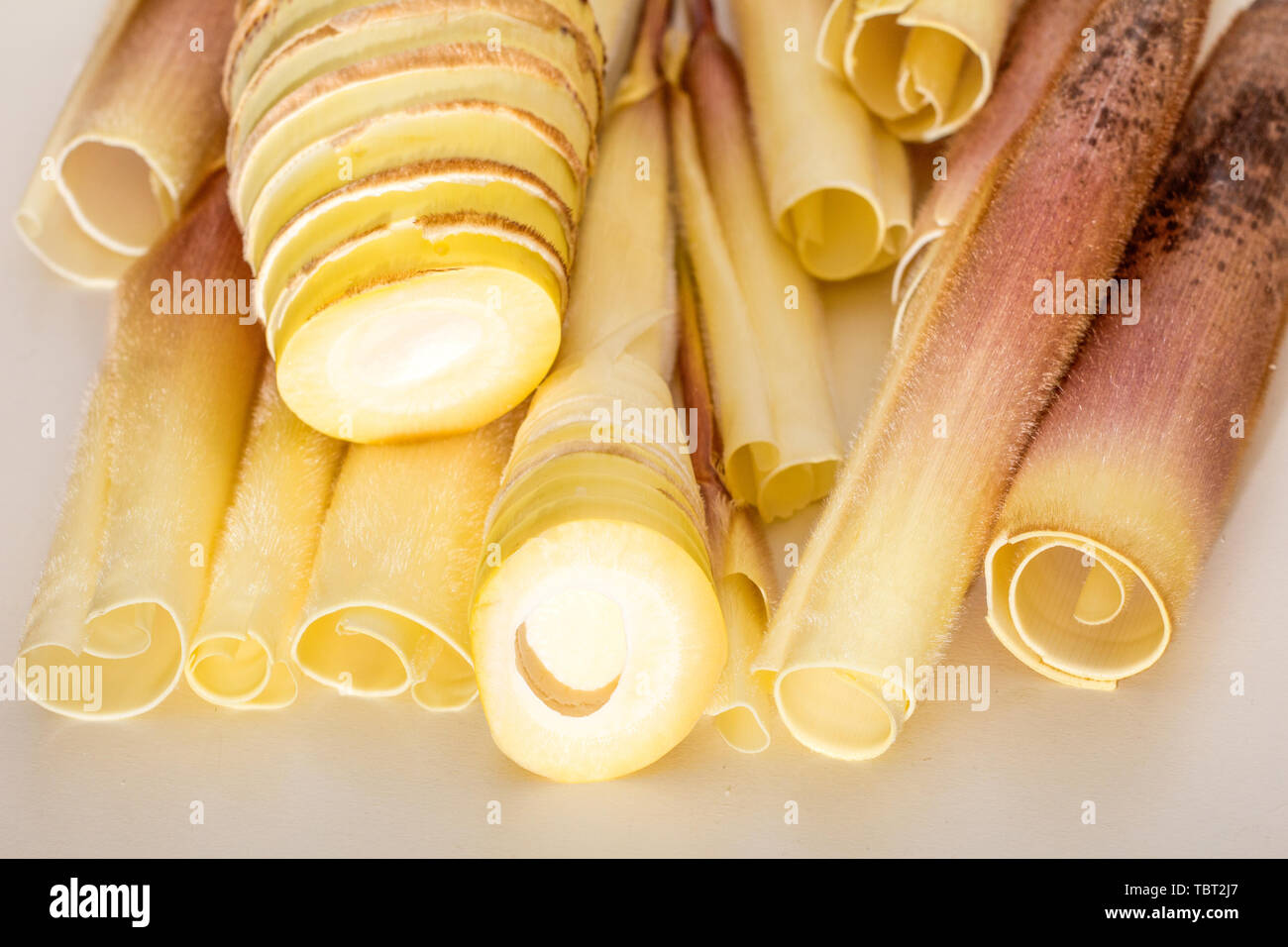 Fresh bamboo shoots ingredients Stock Photo - Alamy