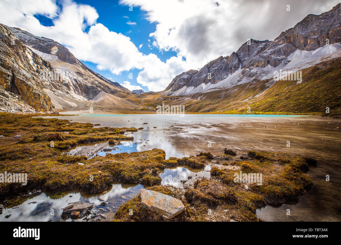 Autumn of Rice City Aden Stock Photo - Alamy