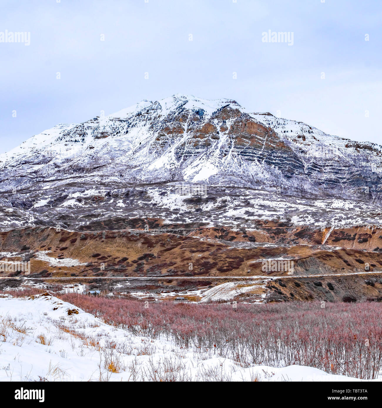 Snow dusted grasses hi-res stock photography and images - Alamy