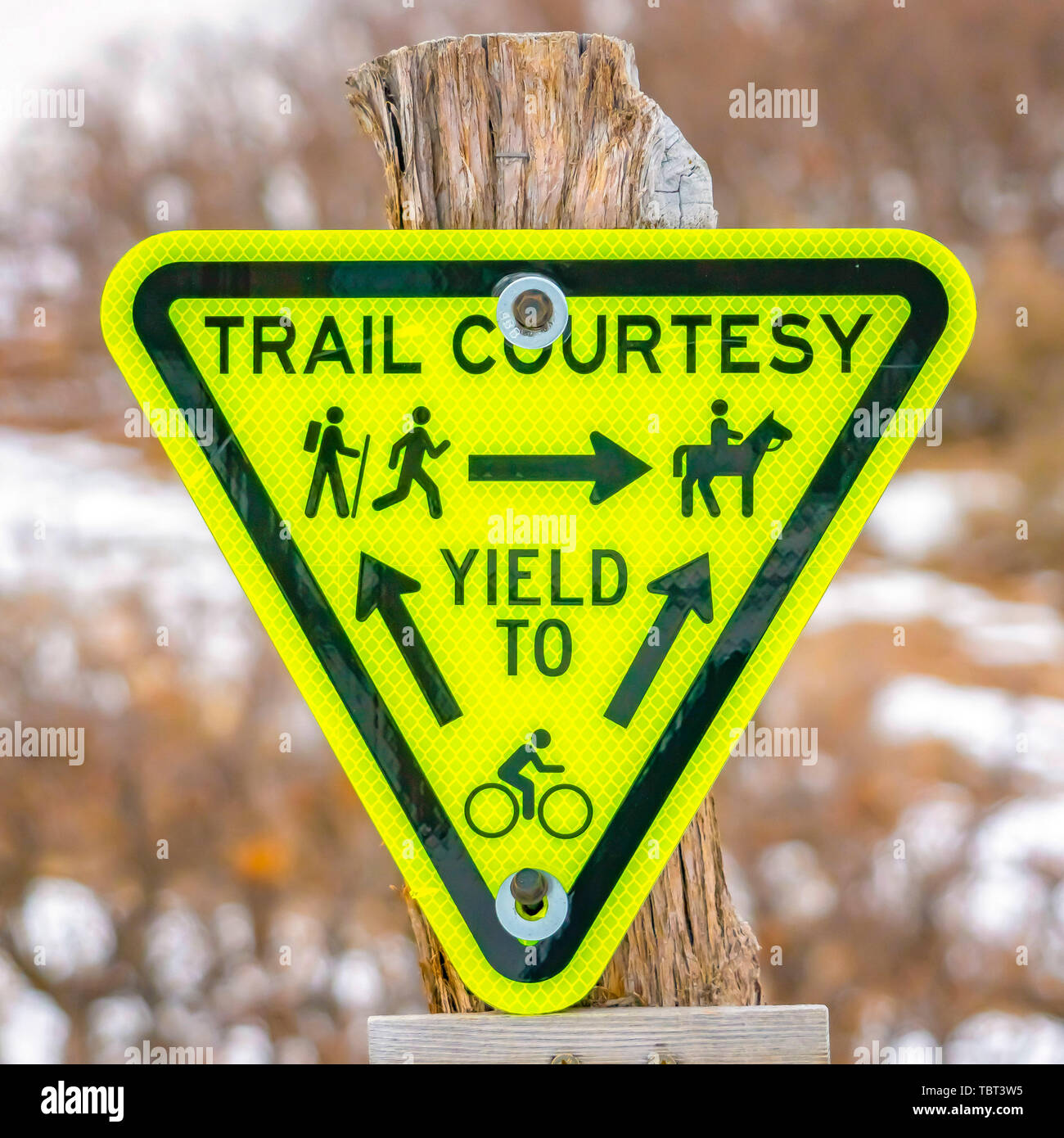 Square frame Inverted triangle Trail Courtesy Yield To sign with ...