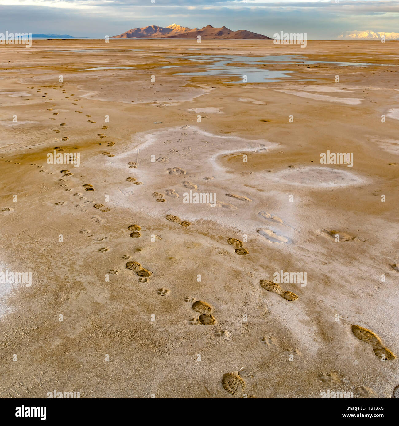 Footprint imprinted hi-res stock photography and images - Alamy