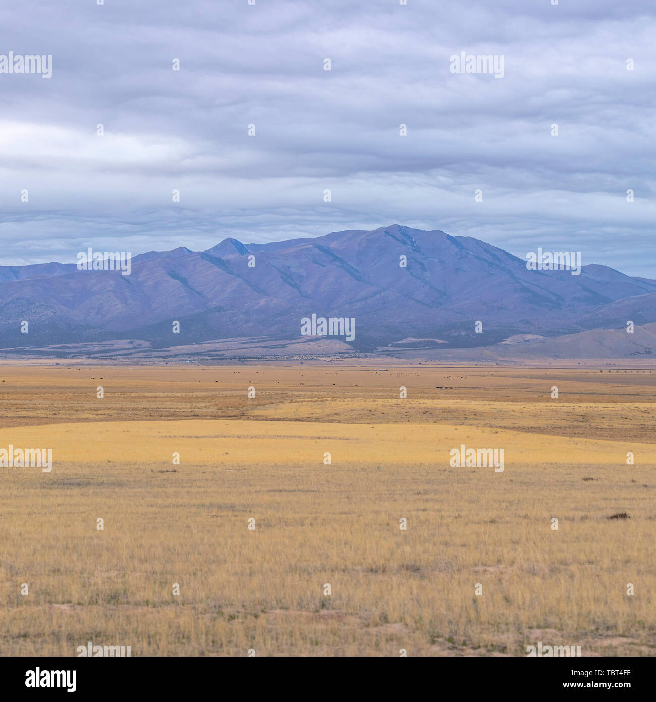 Panoramic landscape under vast hi-res stock photography and images - Alamy