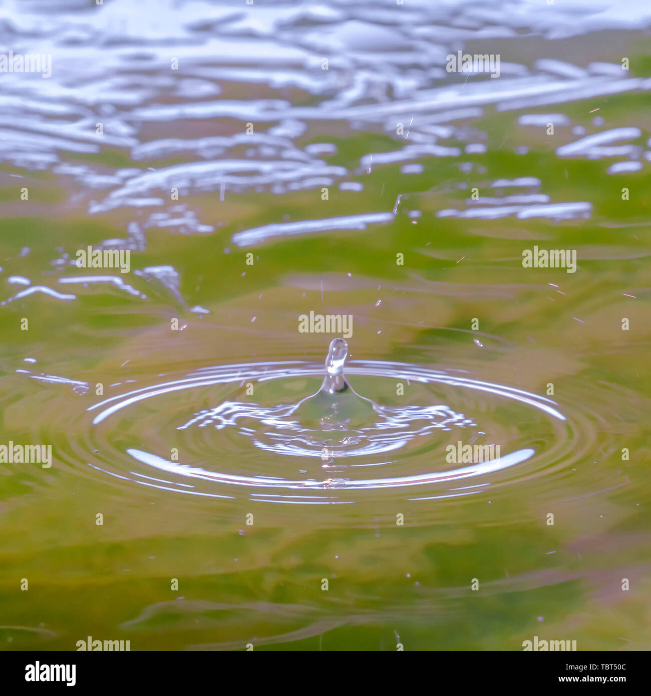 Water Splash Frame High Resolution Stock Photography and Images - Alamy