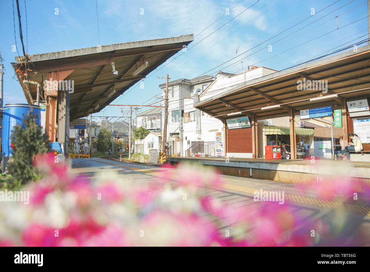 Kyoto Lan electric cherry blossom train Stock Photo - Alamy