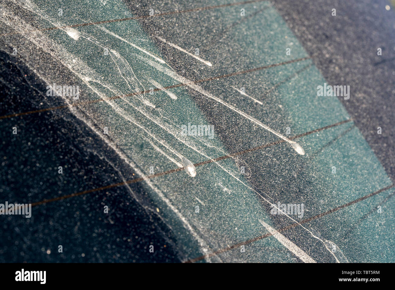 Desert sand dirty car glass window detail Stock Photo - Alamy