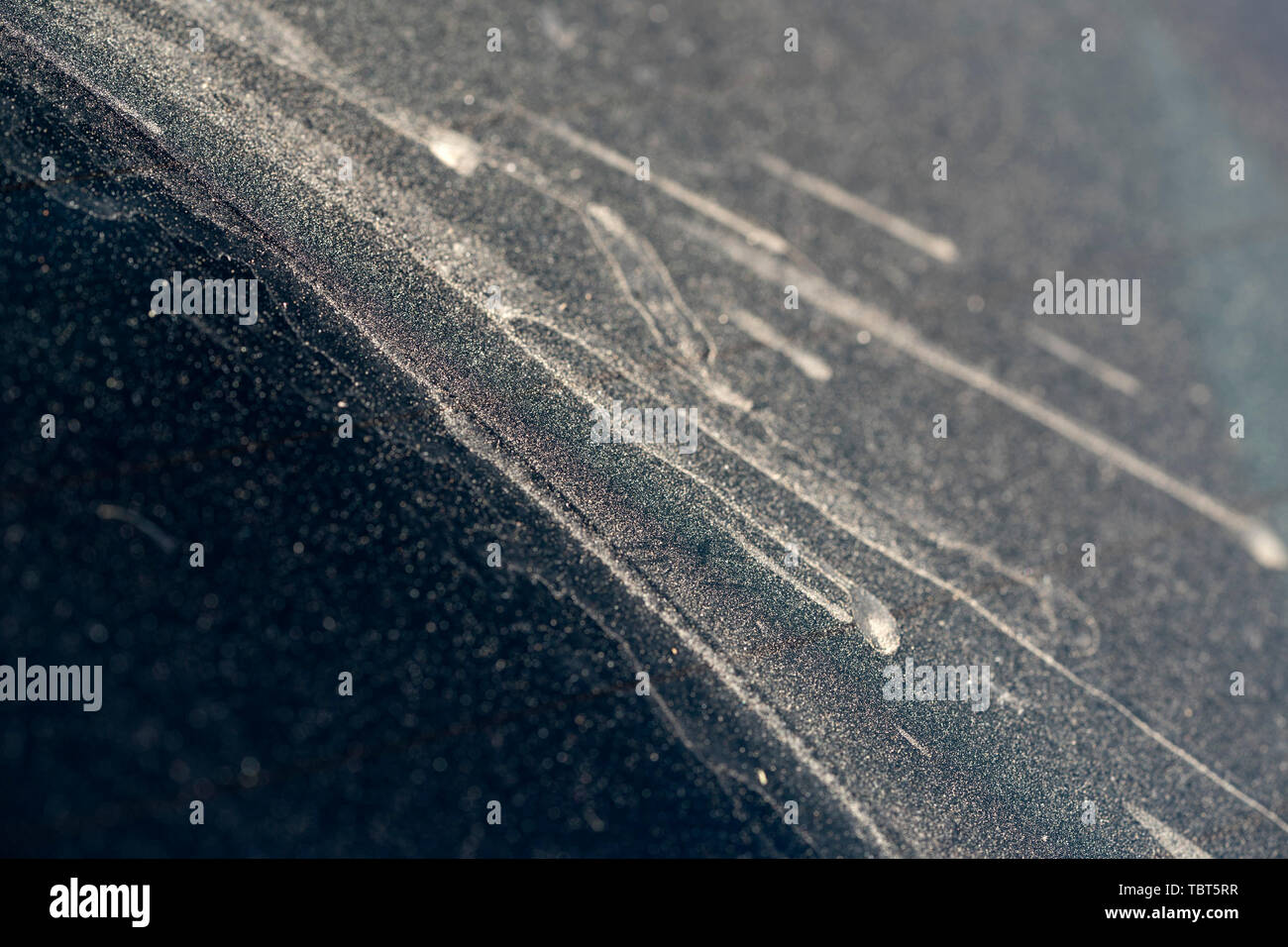Desert sand dirty car glass window detail Stock Photo - Alamy