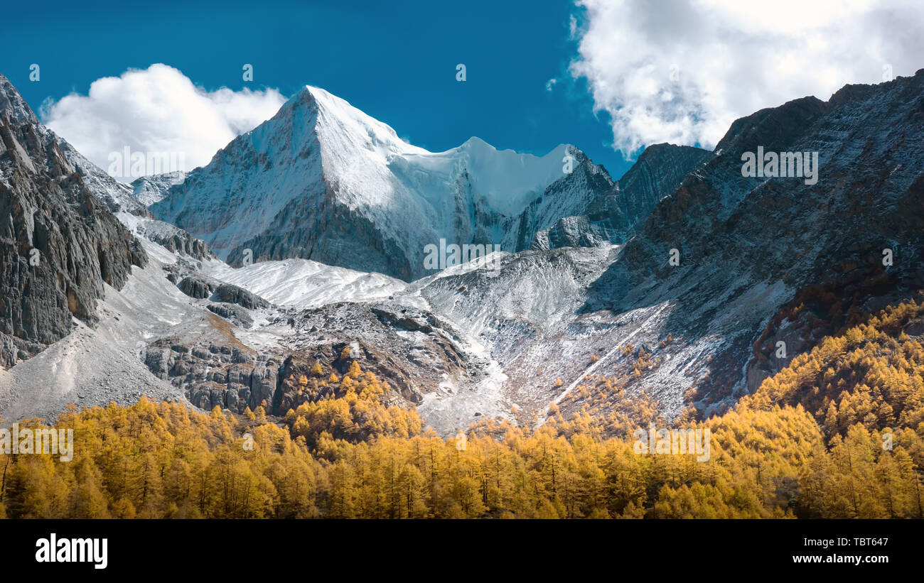 Rice city Aden autumn color Stock Photo - Alamy