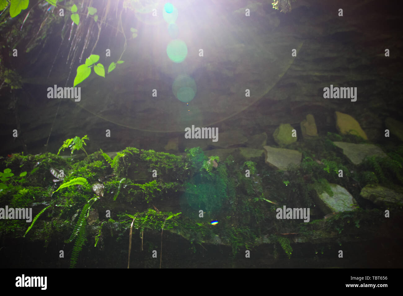 Photographer: Hu Wenkai Stock Photo - Alamy