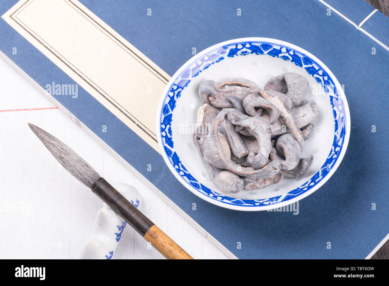 Dry leech hi-res stock photography and images - Alamy