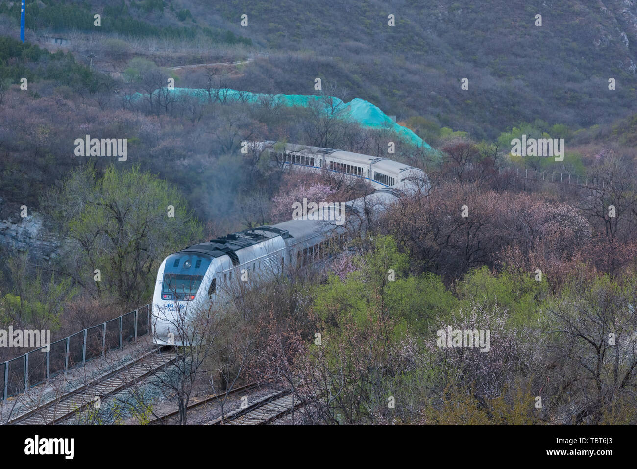 A train for spring Stock Photo - Alamy