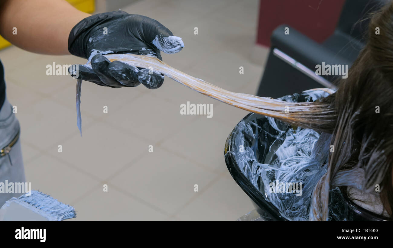 Professional hairdresser coloring hair of woman client at studio Stock ...