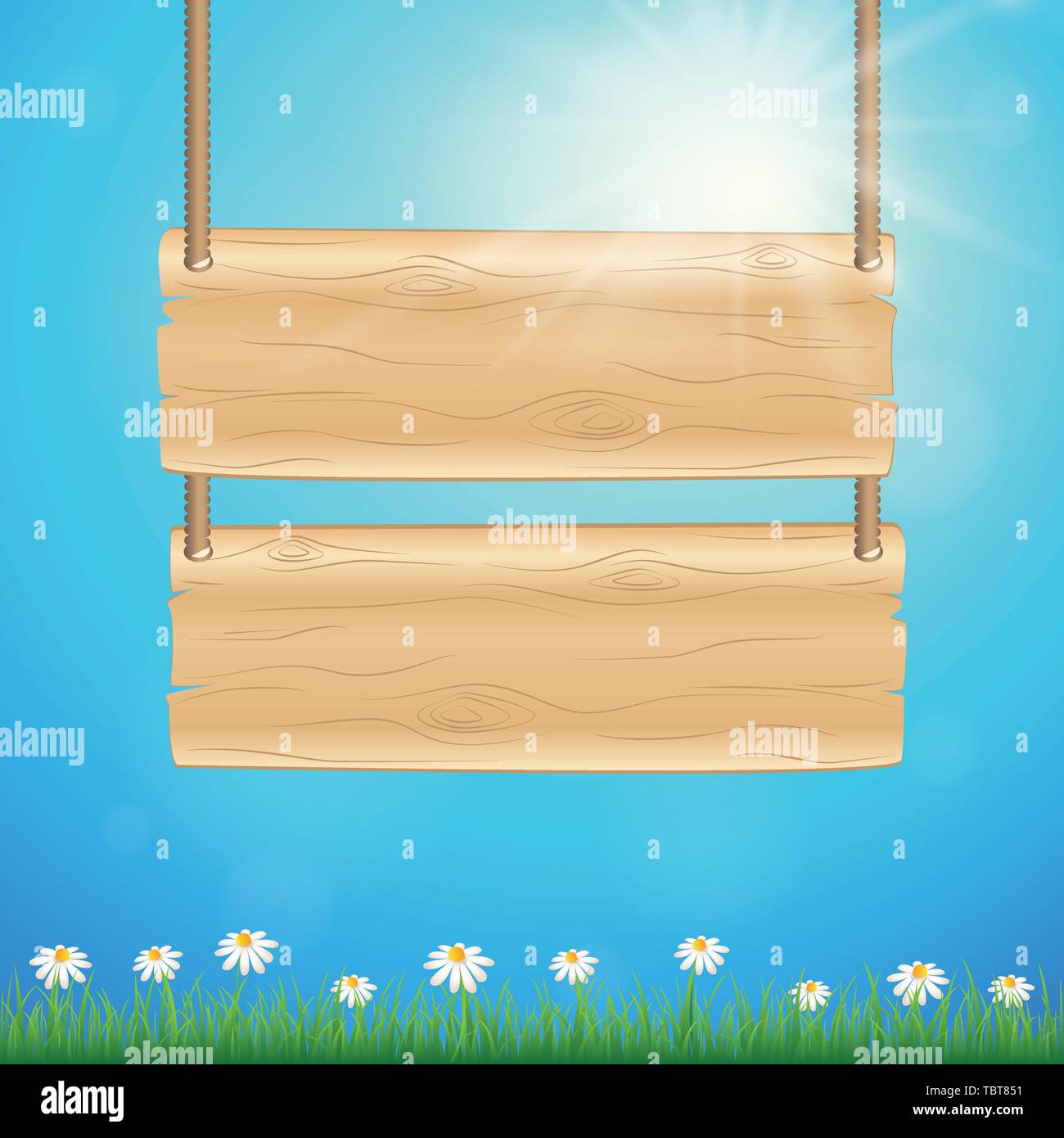 wooden sign board with daisy flower and grass on blue sunny summer ...