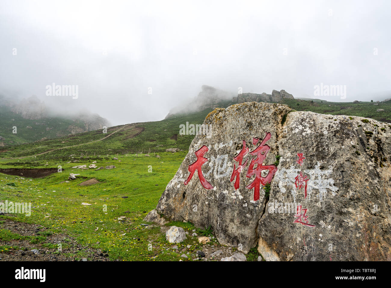 Plateau pasture on the Qilian Mountains Stock Photo - Alamy