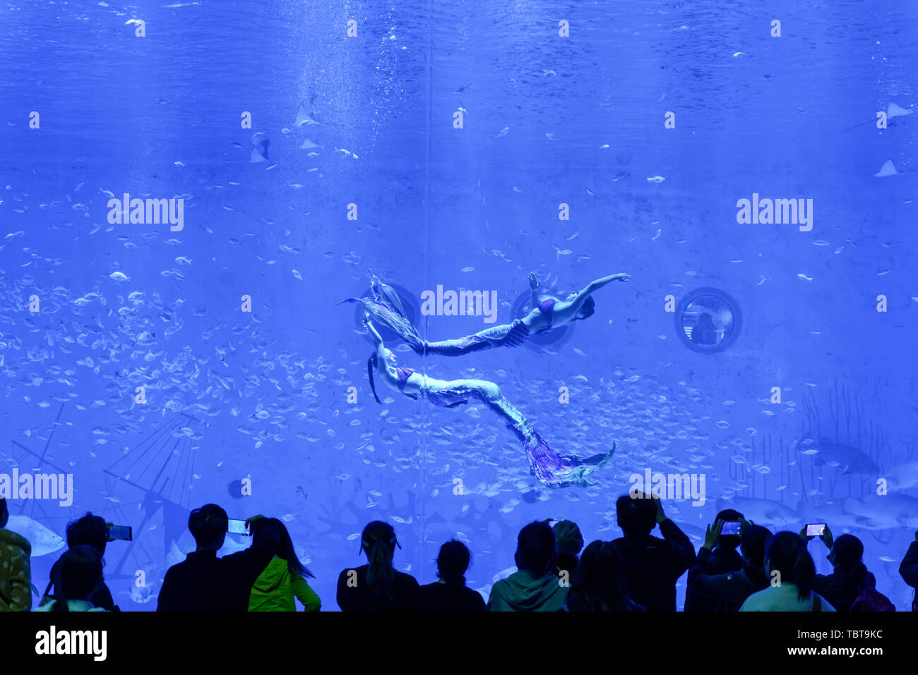 Mermaid performance at Haichang Ocean Park, Shanghai Stock Photo - Alamy