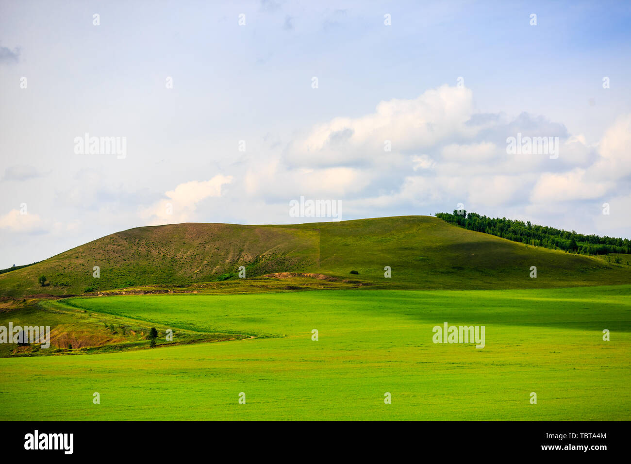 Summer in Hulunbuir Prairie, Inner Mongolia Stock Photo - Alamy
