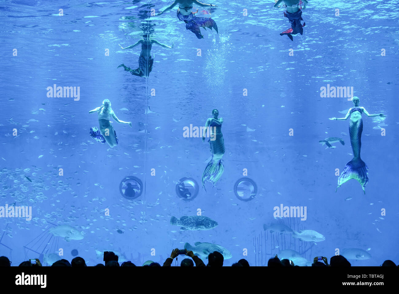 Mermaid performance at Haichang Ocean Park, Shanghai Stock Photo - Alamy