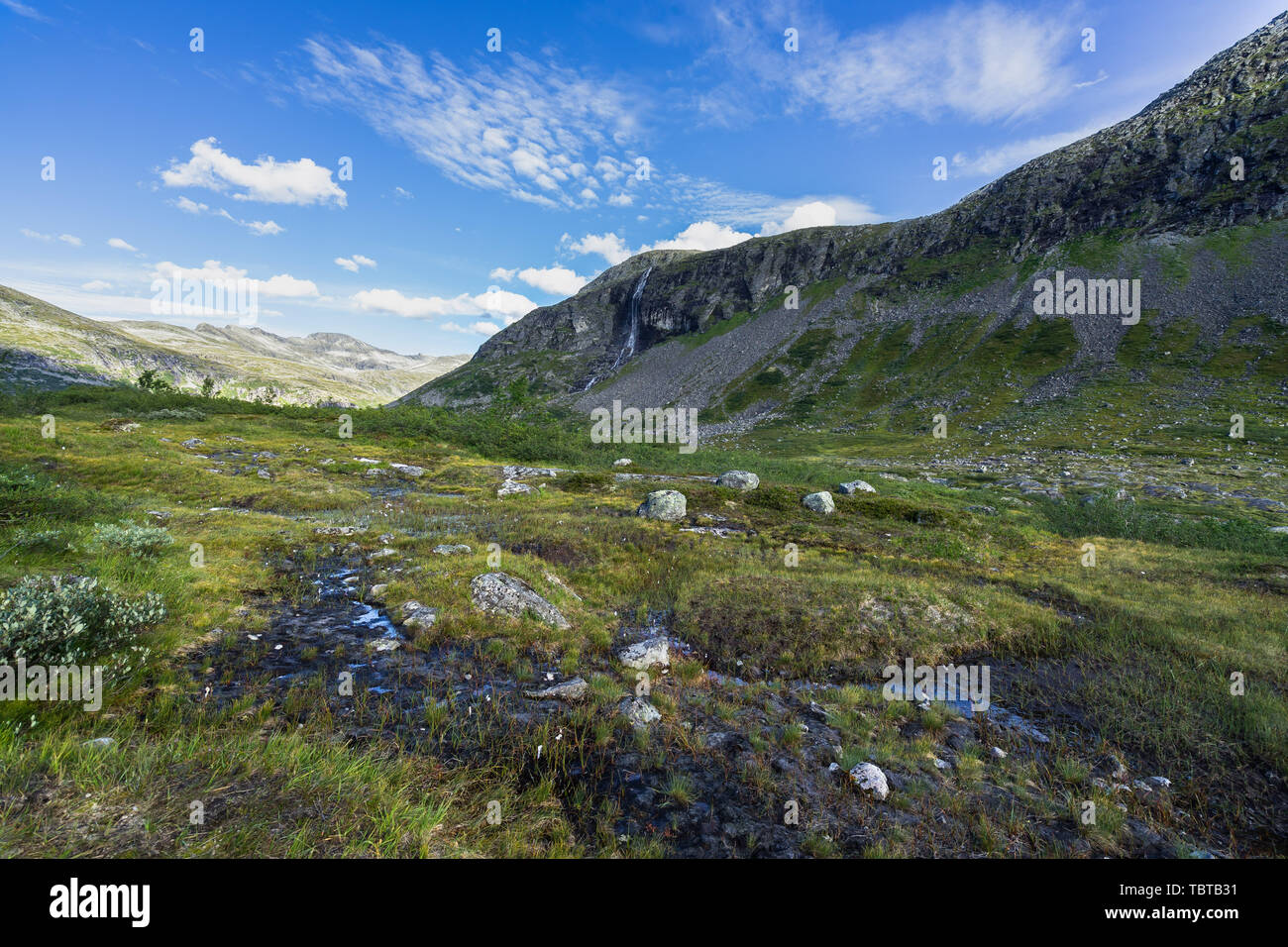 Landscape and nature at the upper part of the Valldalen Valley towards ...