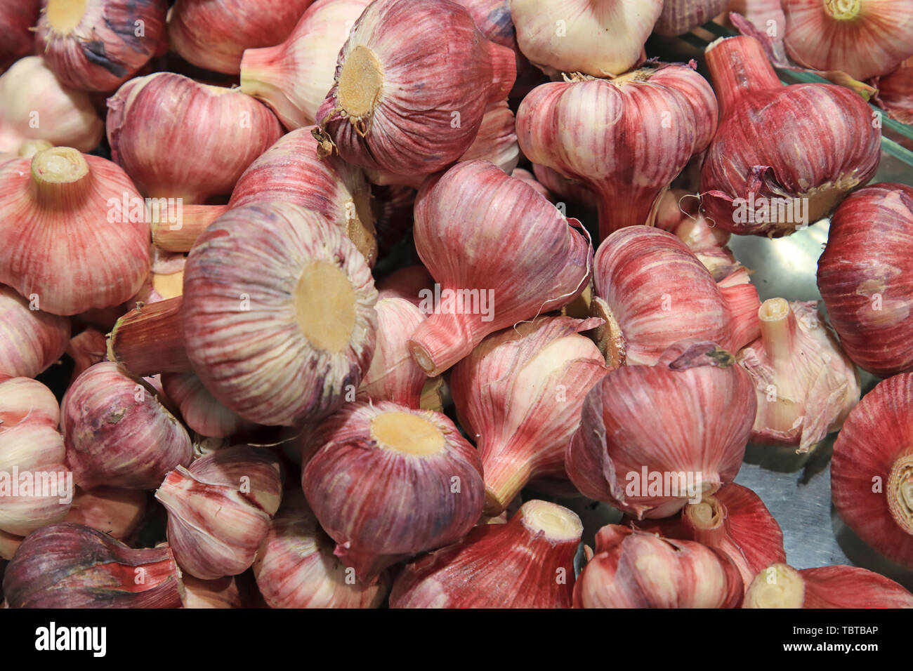 Purple skin garlic Stock Photo - Alamy