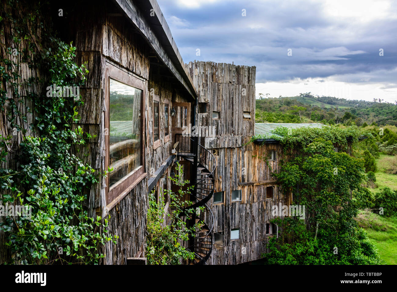 Kenya Tree Top Hotel Stock Photo - Alamy