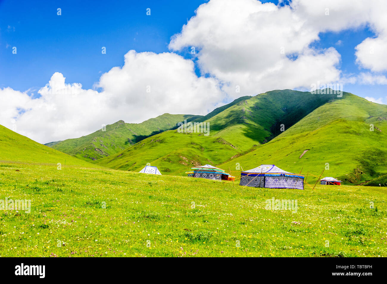 Sankor hi-res stock photography and images - Alamy