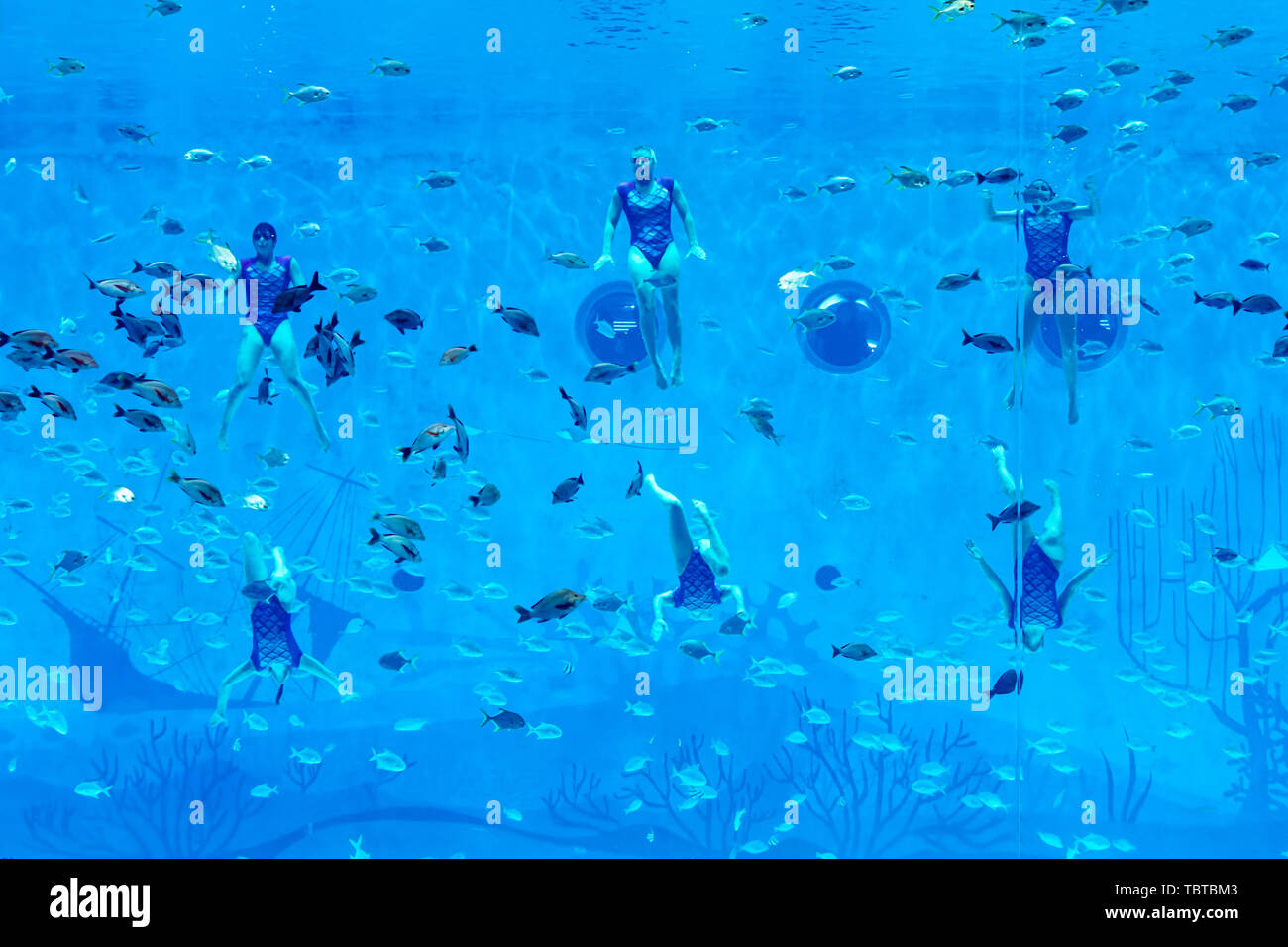 Mermaid performance at Haichang Ocean Park, Shanghai Stock Photo - Alamy