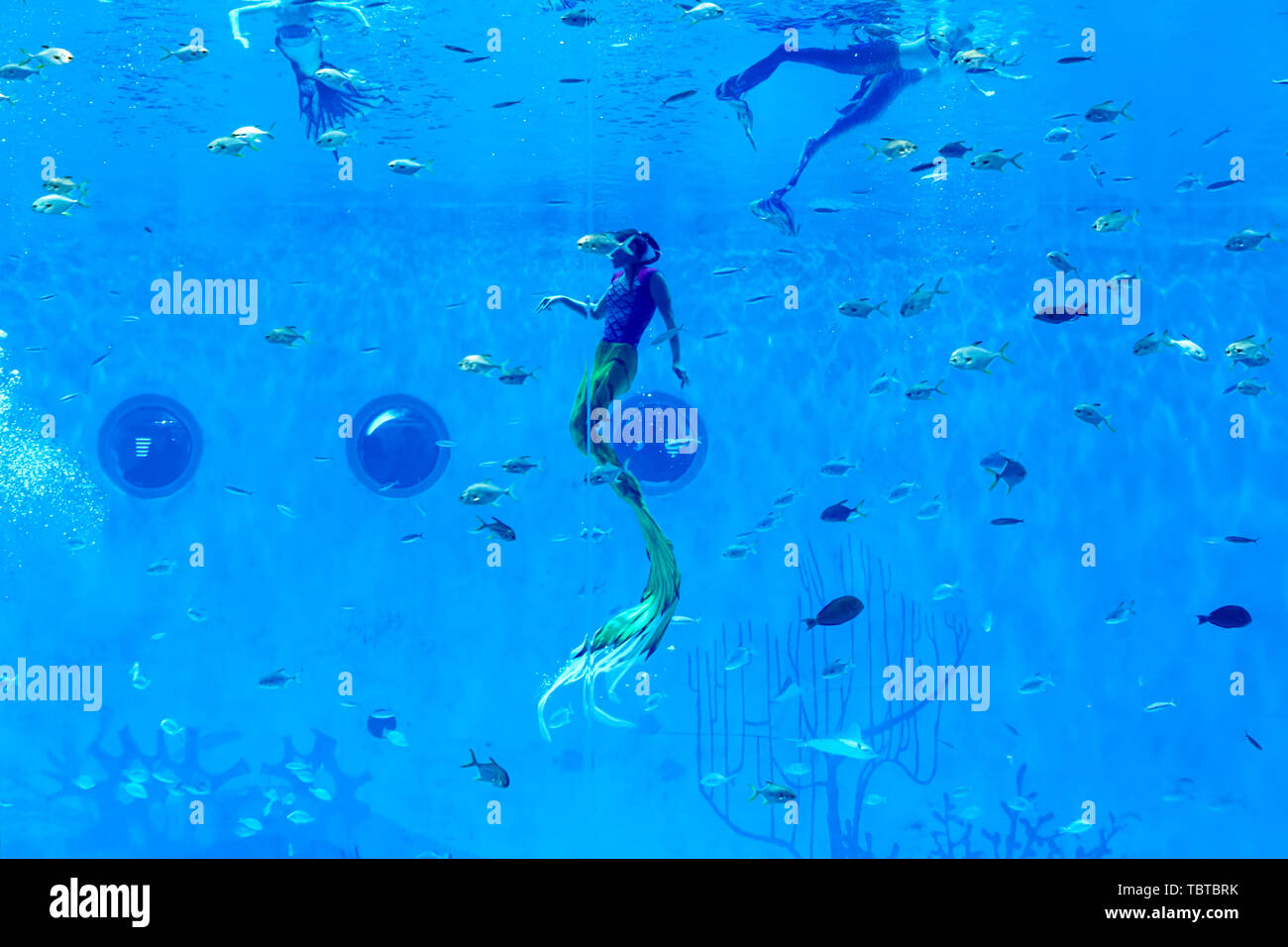 Mermaid performance at Haichang Ocean Park, Shanghai Stock Photo - Alamy