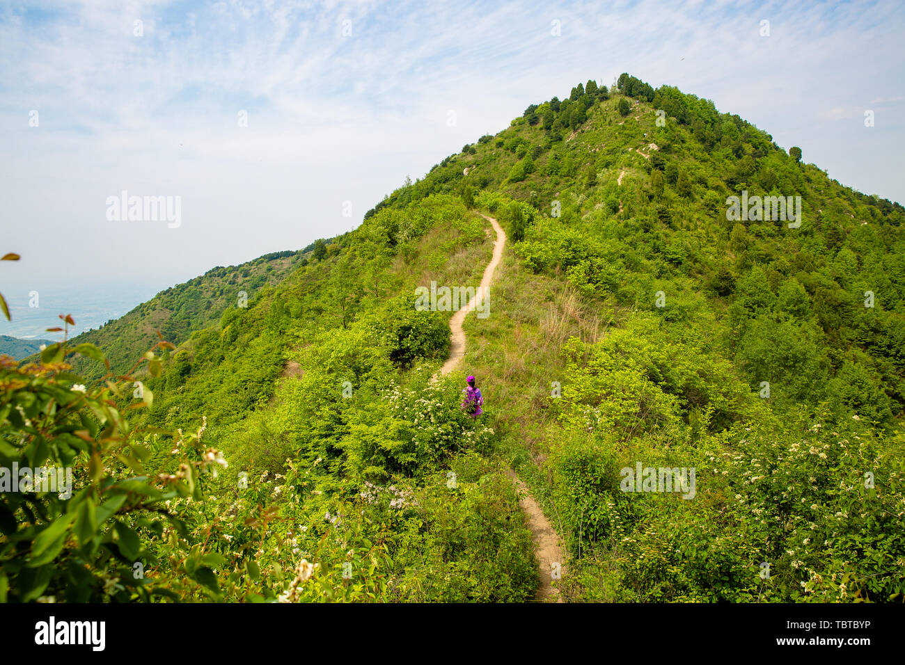 Meridian valley road Stock Photo - Alamy