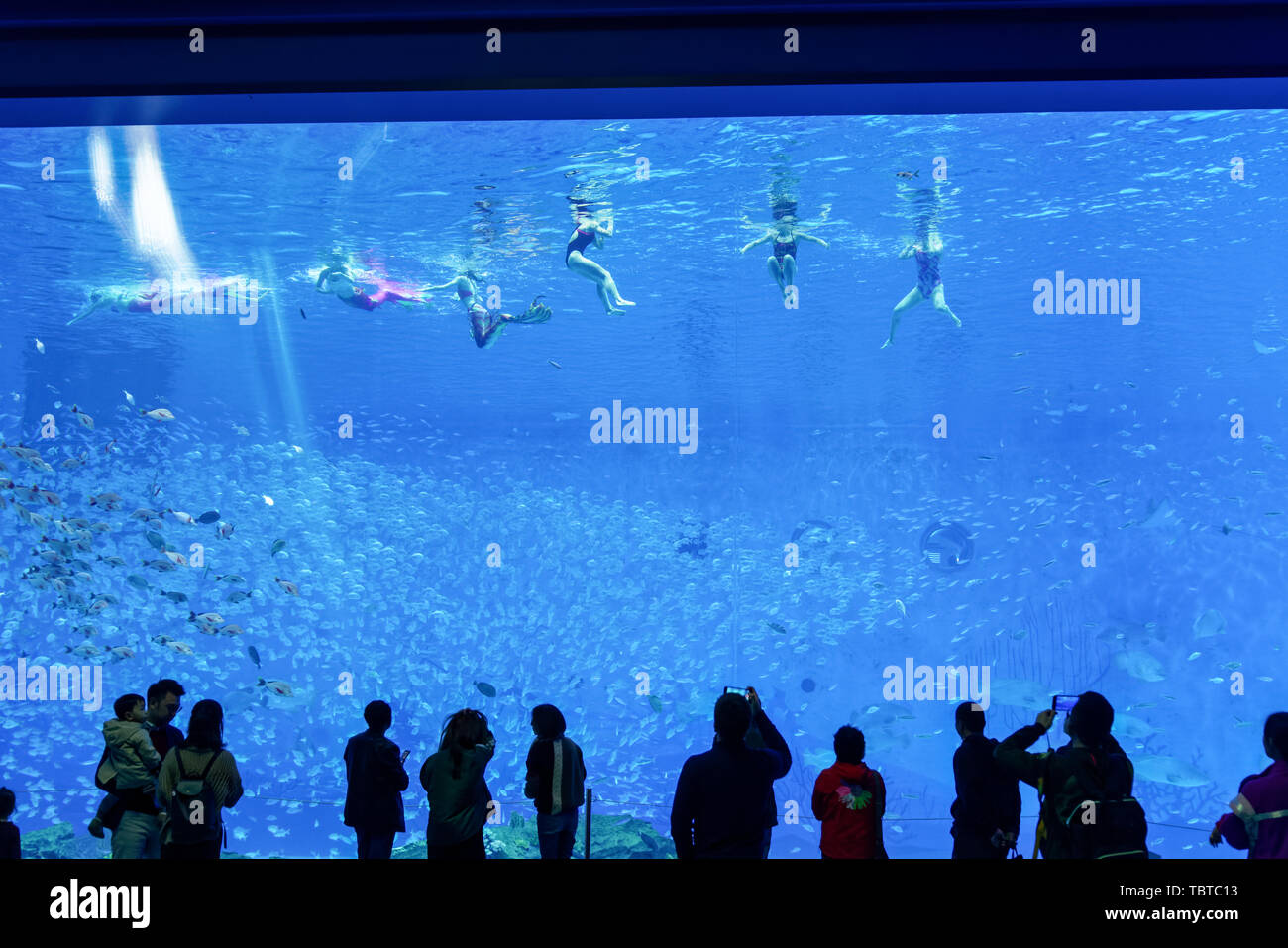 Mermaid performance at Haichang Ocean Park, Shanghai Stock Photo - Alamy